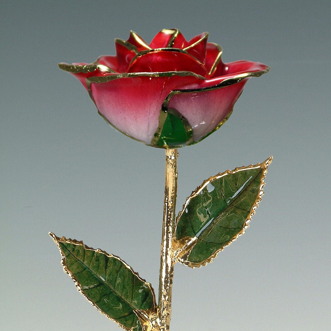 2-tone Red Rose - Original 24k Gold Dipped Rose - Real Rose Plated in ...
