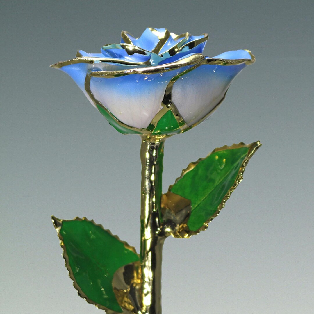 2-tone Light Blue Rose - Original 24k Gold Dipped Rose - Real Rose ...