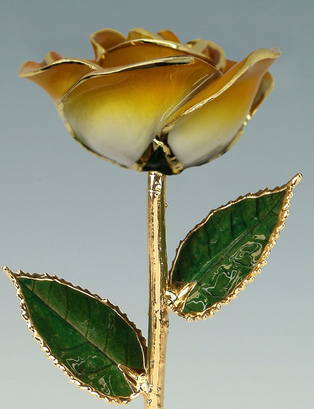 2-tone Orange Rose by Living Gold Original 24k Gold Dipped Rose Real ...