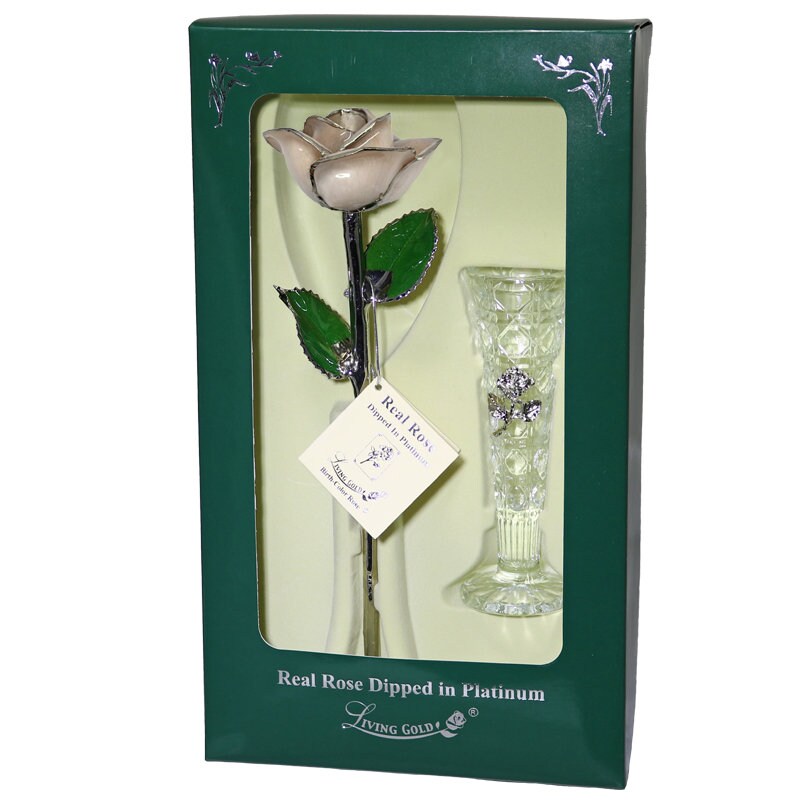Pearl White Rose - Original Platinum Dipped Rose - Real Rose Plated in ...