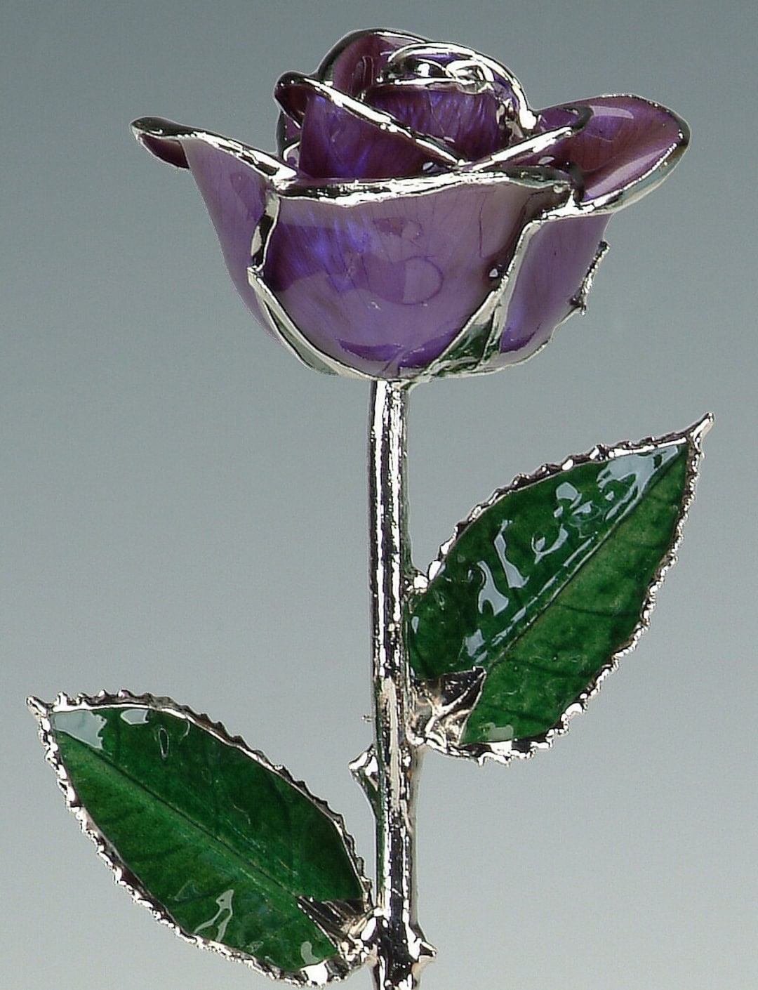 Purple Platinum Rose by Living Gold Real Rose Dipped & Plated in ...