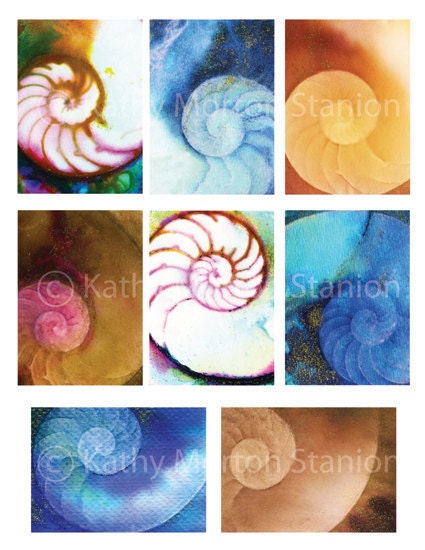 8 Colorful Nautilus Shells Sea Ocean Clip Art INSTANT - Etsy