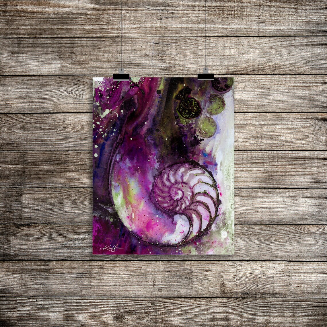 Nautilus Shell Sea Shell Art Large Sizes Ocean Sea Shell | Etsy