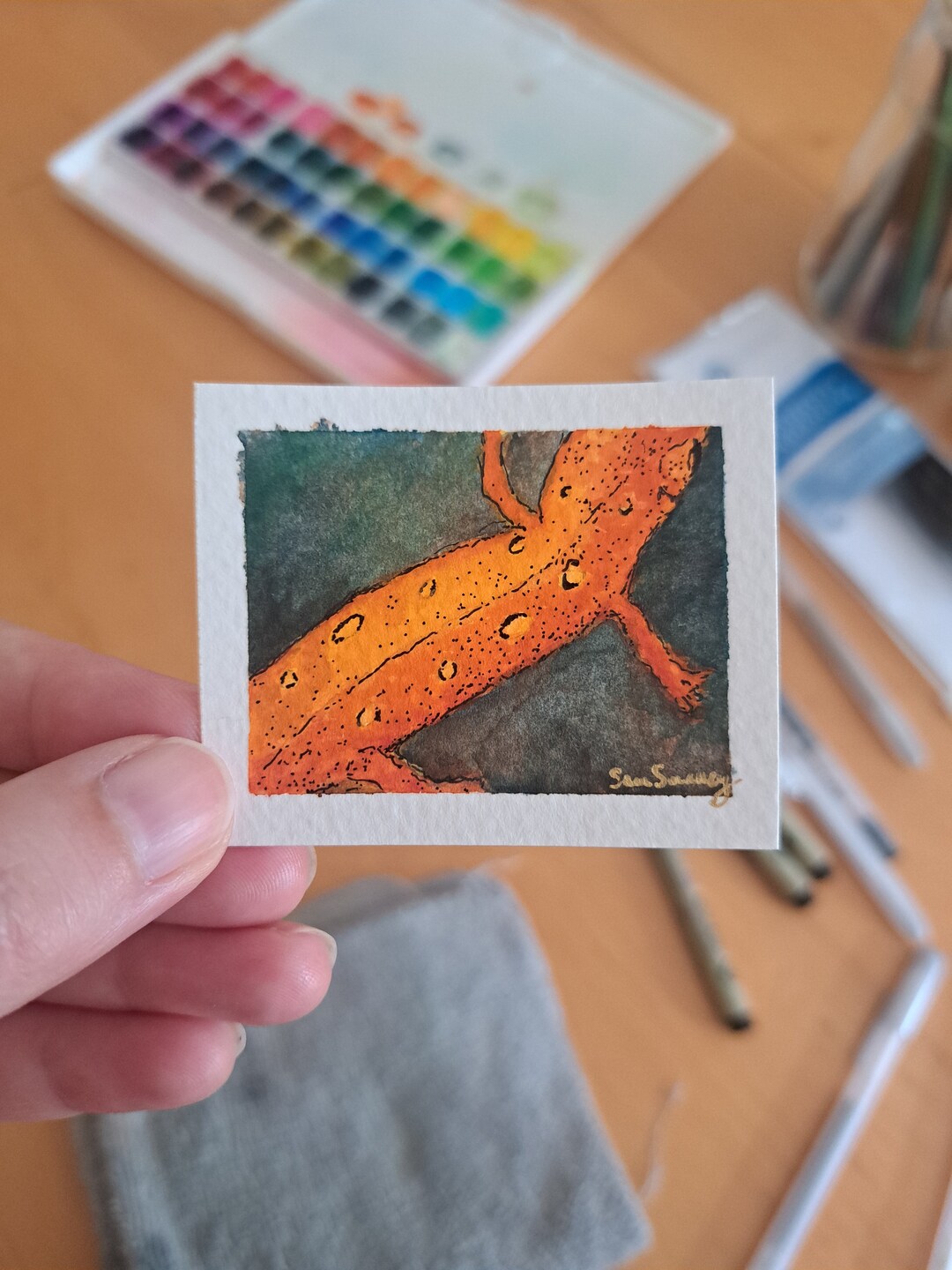 Eastern Newt - Etsy