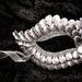Silver Masquerade Mask With Dragon Scales Texture Metallic Venetian ...