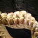 Gold Masquerade Mask With Dragon Scales - Metallic Gold Venetian Mask ...