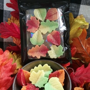 Fresh Fallen Leaves Wax Melts Strong Scented Wax Melts for Wax Warmer ...