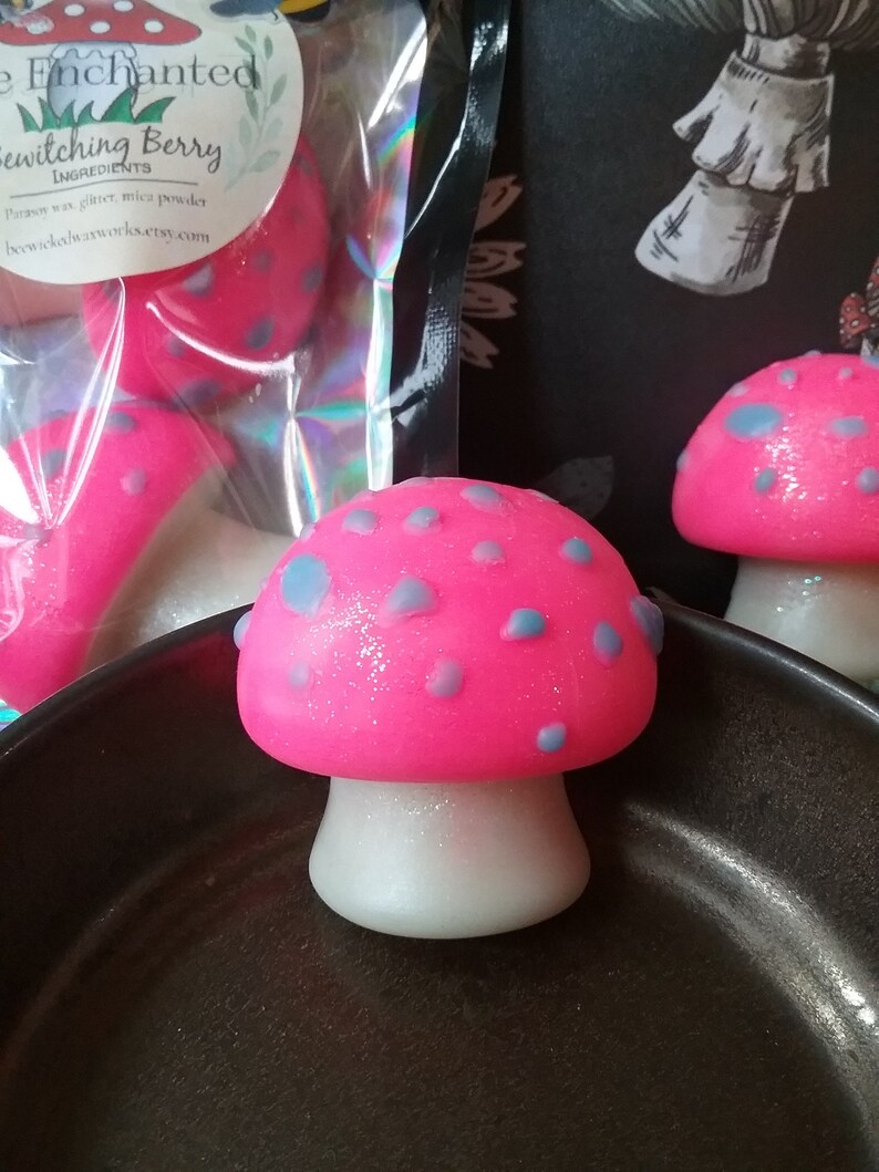 Bewitching Berry Mushroom Wax Melts Pouch Strong Scented Wax Melts for ...