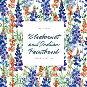 Bluebonnet & Indian Paintbrush Seamless Pattern Texas Watercolor Floral ...