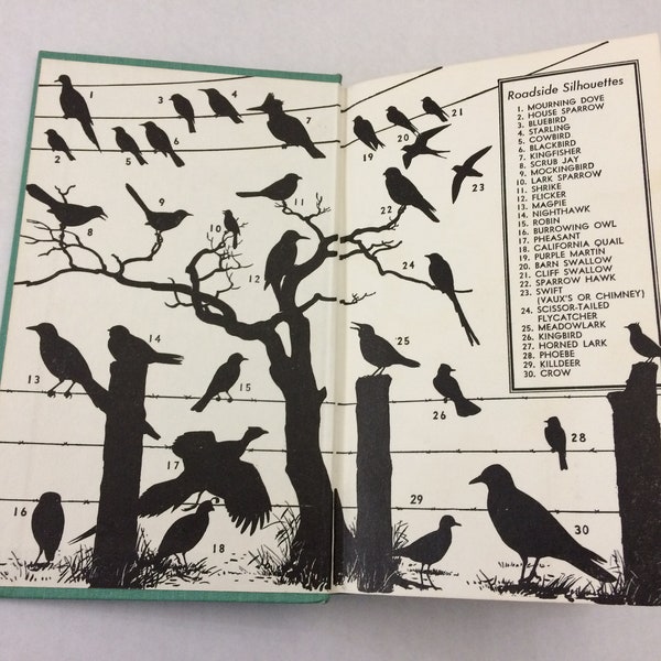 Birds North America - Etsy