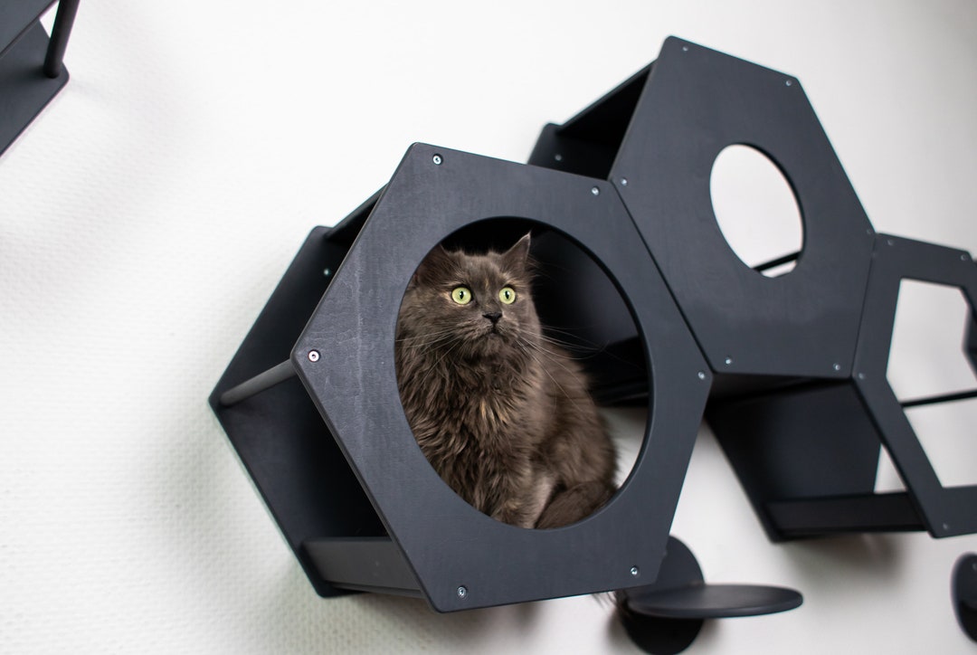 Nexagon Cat Wall Furniture Set Cat Climbing Wall Hexagon Cat - Etsy