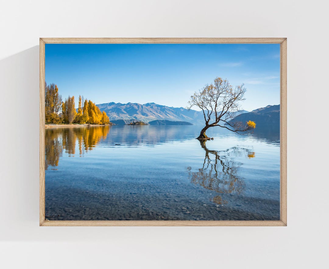 Wanaka Tree New Zealand Print: Fine Art Photography - Etsy