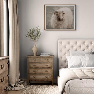 Sheep Print Photograph, Rustic Sheep Portrait Photo, Cute Barn Animals ...