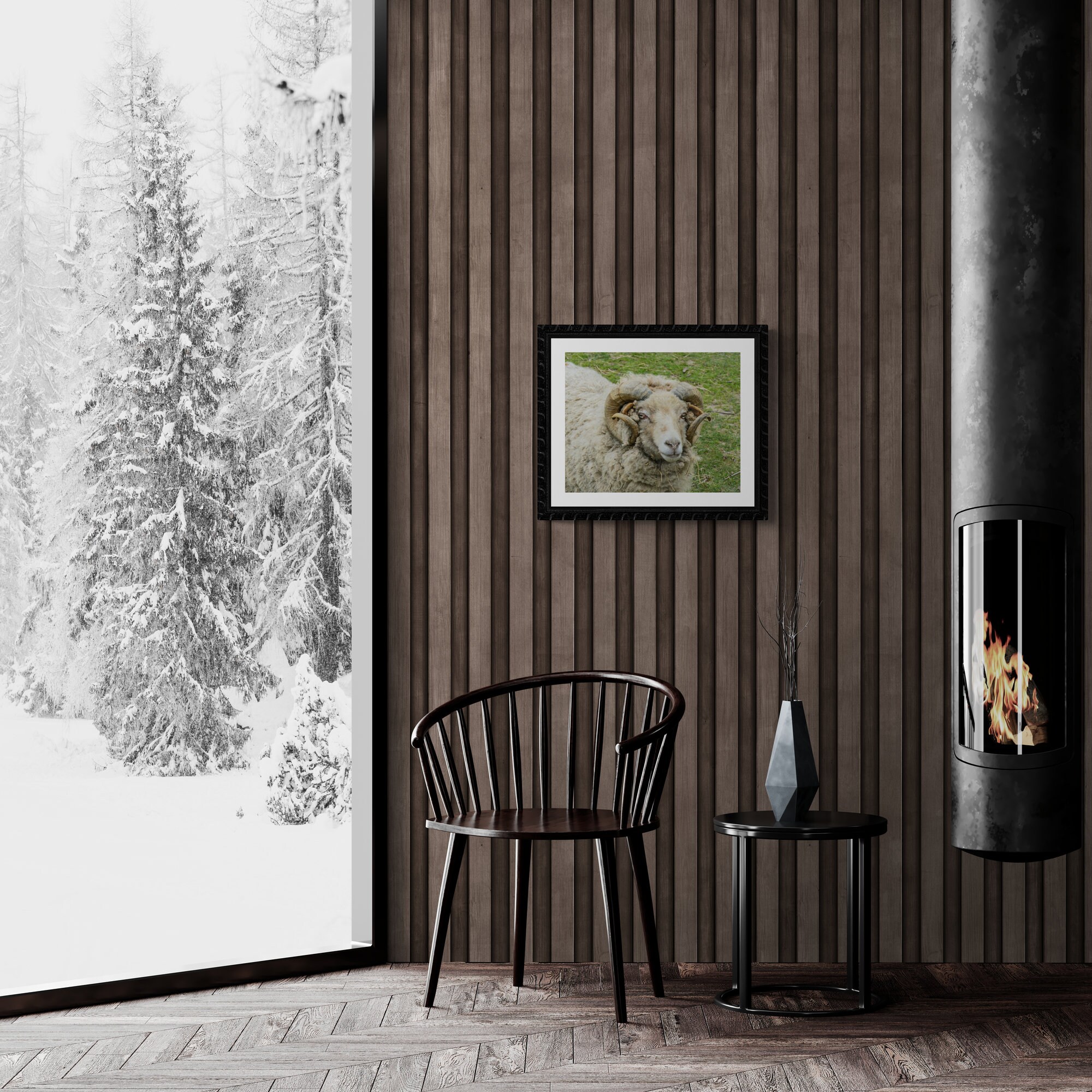 Cute Sheep Photograph, Rustic Sheep Portrait Photo, Cute Barn Animals ...