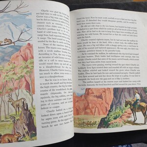 Vintage the Golden Stallion by Rutherford Montgomery, Illustrated by Al ...