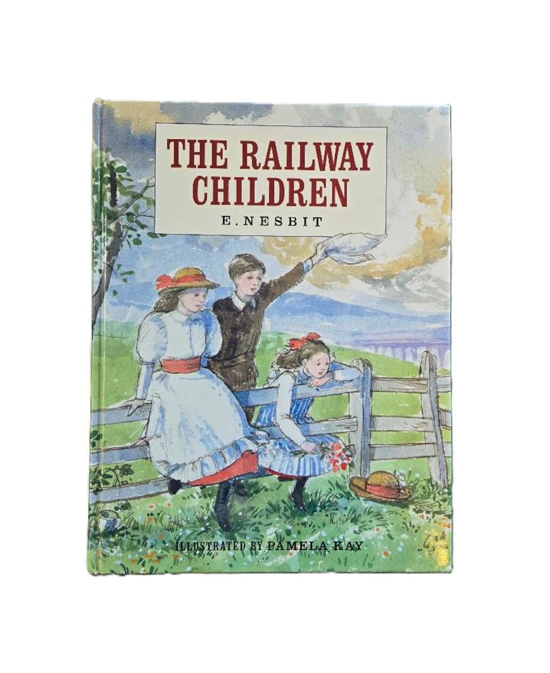 The Railway Children: 1989 First Edition, Illustrated Classic - Etsy