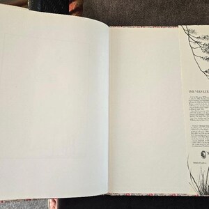 Vintage 1984 the Velveteen Rabbit, or How Toys Become Real by Margery ...