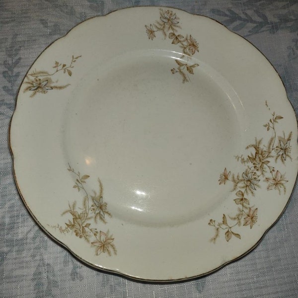 John Maddock and Sons China Plates - Etsy