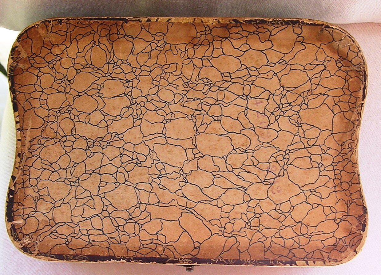 Vintage Souvenir Paper Jewelry Box Old Florida 1950s Vintage - Etsy