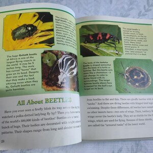 Vintage Disney's Year Book 1997, Mickey Mouse Storybook, Disney Nature ...