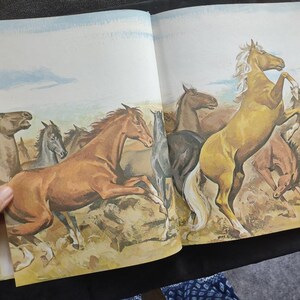 Vintage the Golden Stallion by Rutherford Montgomery, Illustrated by Al ...