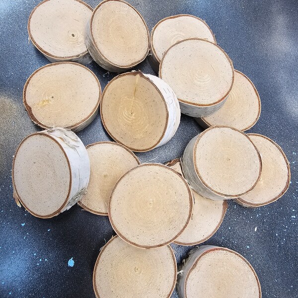 Rustic Birch Wood Tags - Etsy