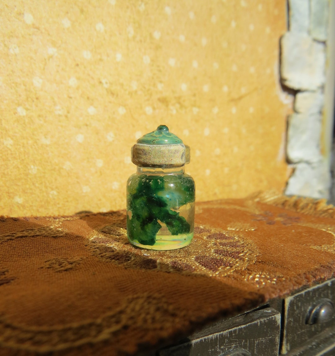 Alien Being Fantasy Wet Specimen Dollhouse Miniature Curiosity - Etsy