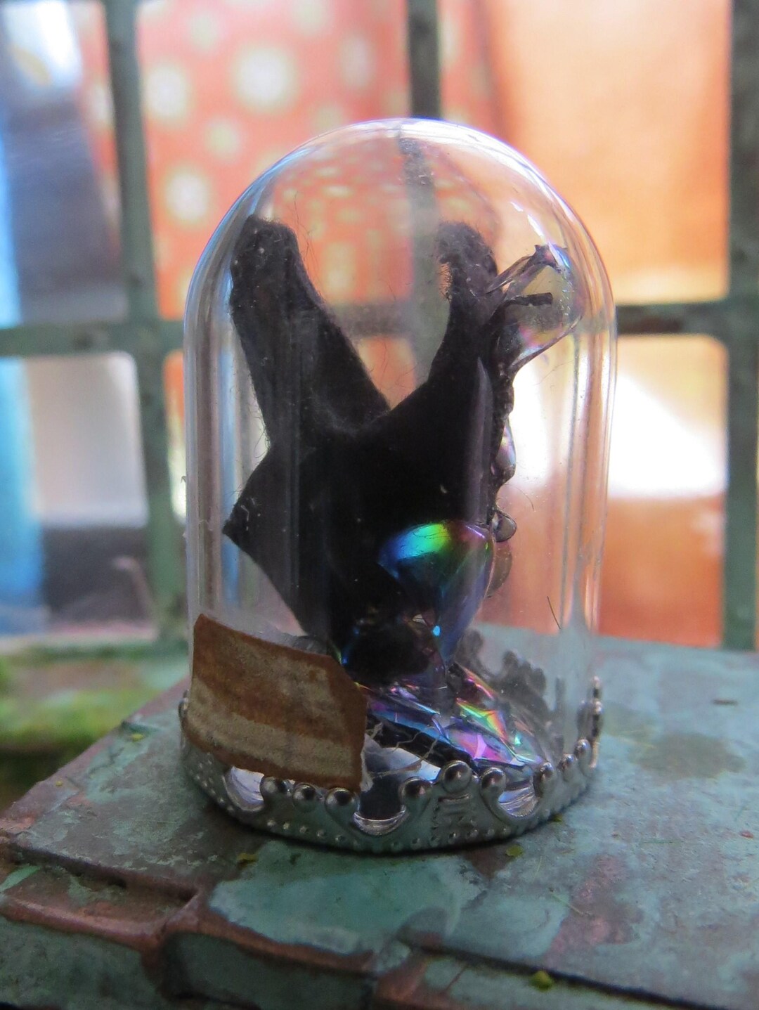 Captured Dark Winged Entity- Demon-fairy- Dementor -unclassified ...
