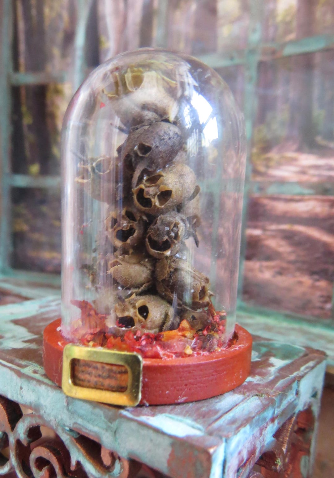 Goblin Skull Trophy Stack in Dome - Etsy