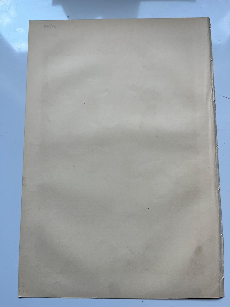 GENUINE ANTIQUE Illustrated Bible Verse Laments 3 Verses 22 and 23 "his ...