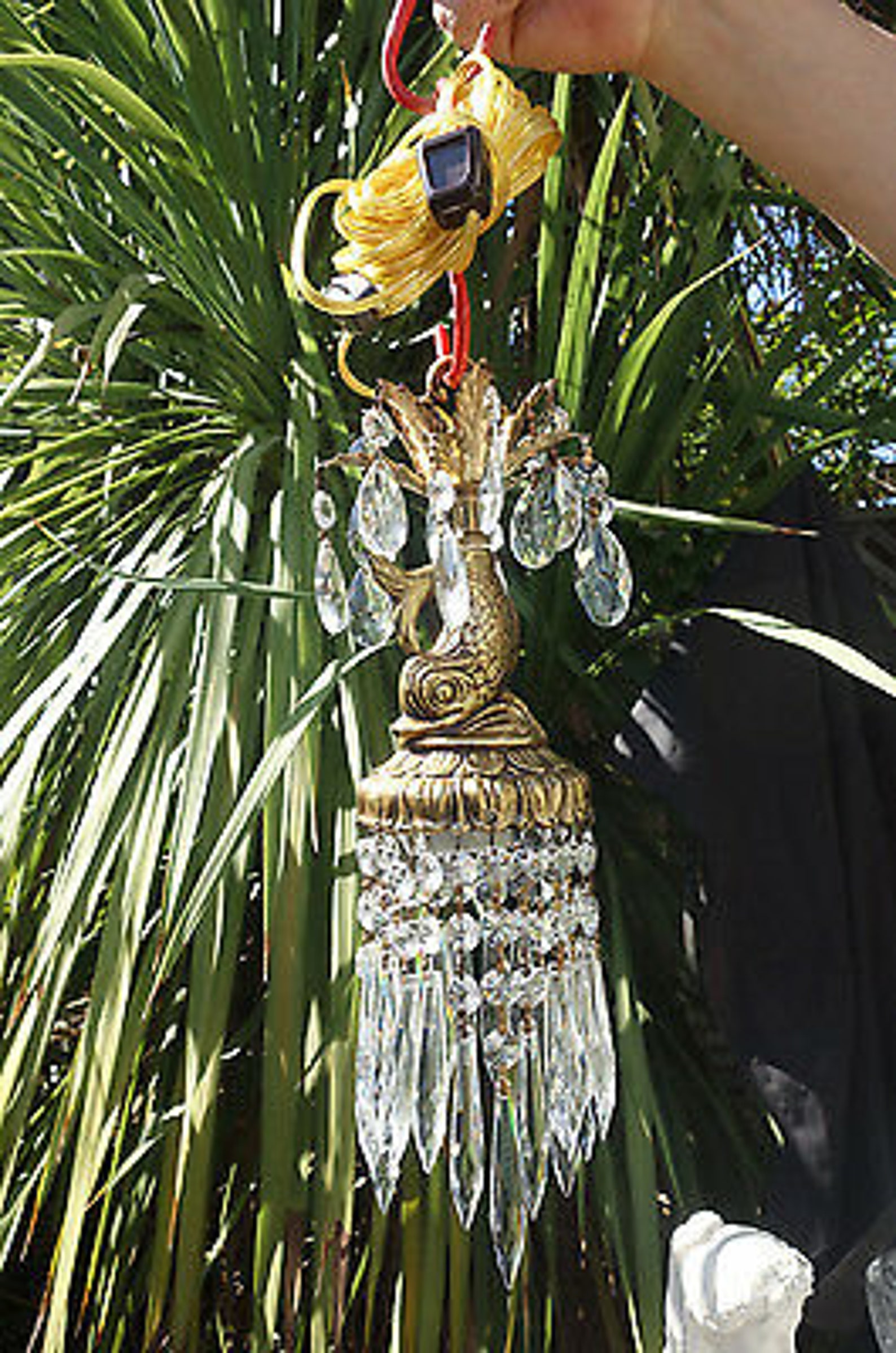 1 Swag Vintage Hanging Dolphin Fish Serpent Lamp Chandelier Gilt Brass ...