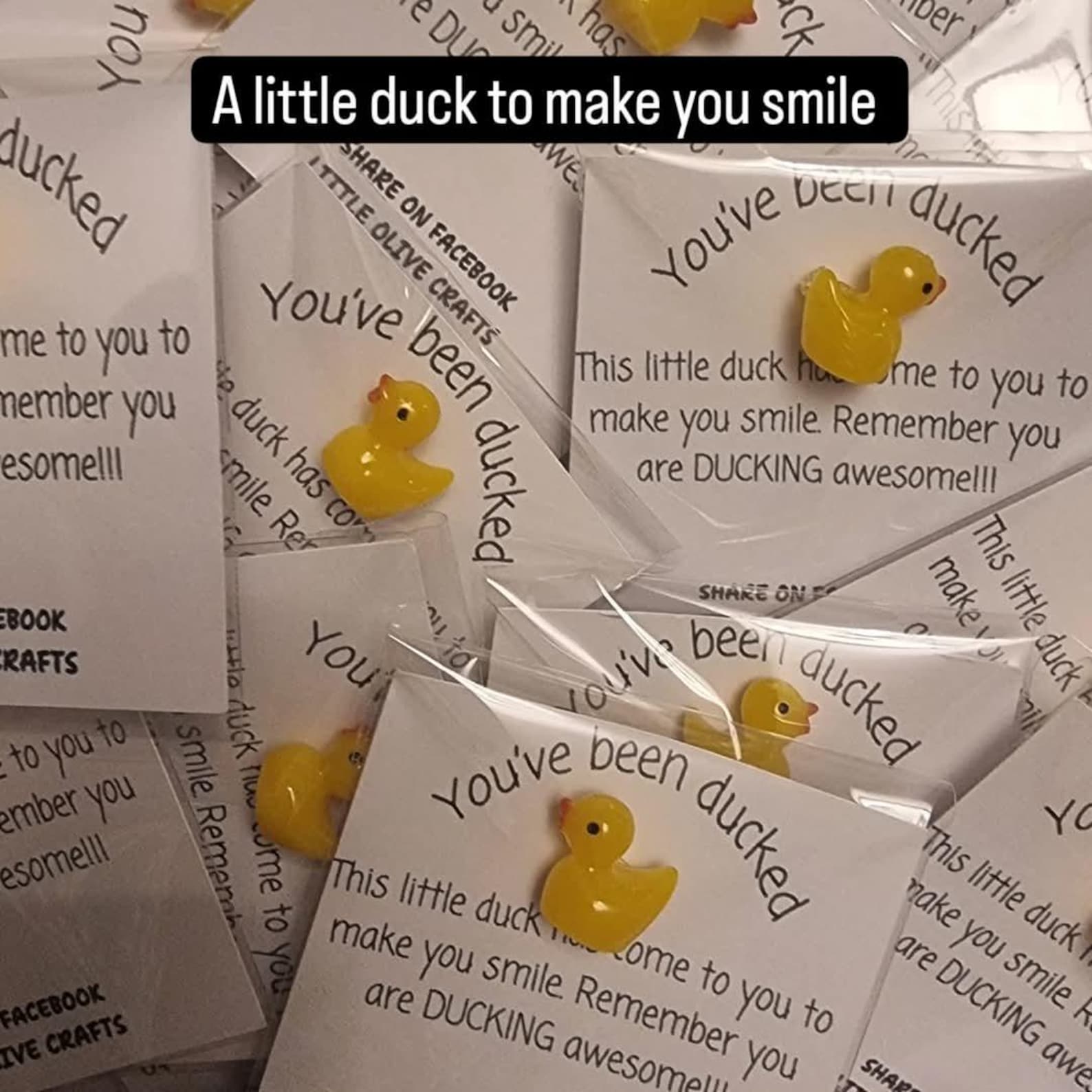 You've Been Ducked Micro Resin Duck Motivational Card Gift - Etsy