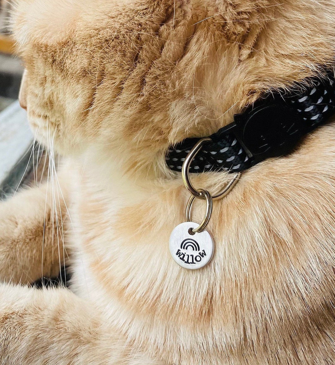 Tiny Kitten Tag ID Tag Kitten ID Tag, Pet Tag, ID Tag, Kittycollar Tag ...