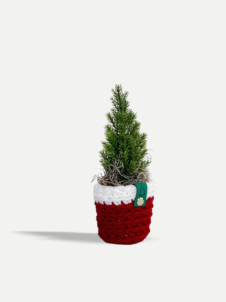 Faux MINI PINE TREE Plant With Crochet Planter Sleeve - Etsy
