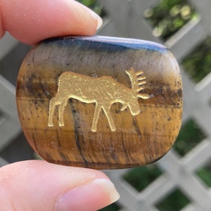 Pick Your Favorite Moose Totem Stone, Spirit Animal Crystal Healing ...