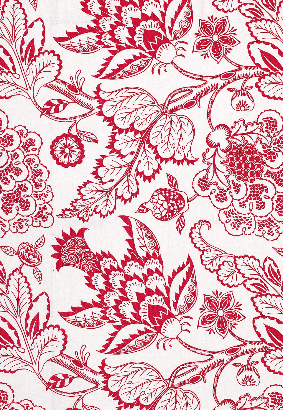 Maracanda Vine in Berry - Etsy