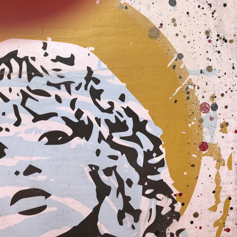 Sex Pistols / Sid Vicious /sid and Nancy / Punk Rock /mixed - Etsy