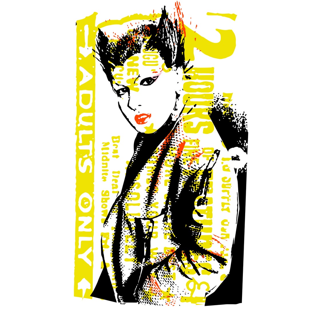 Soo Catwoman Punk Art Poster: Sex Pistols, Pop Art - Etsy