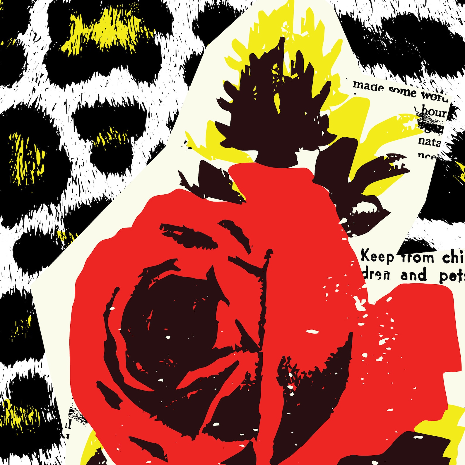 Roses/ Leopard Print / Punk Style / Cut and Paste/ Lowbrow / Pop Art ...