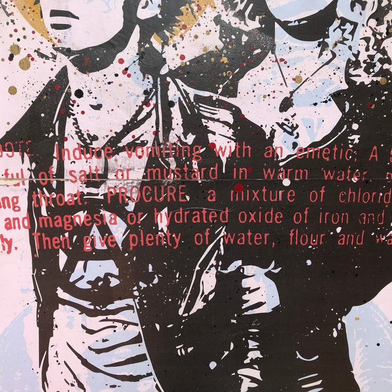 Sex Pistols / Sid Vicious /sid and Nancy / Punk Rock /mixed - Etsy