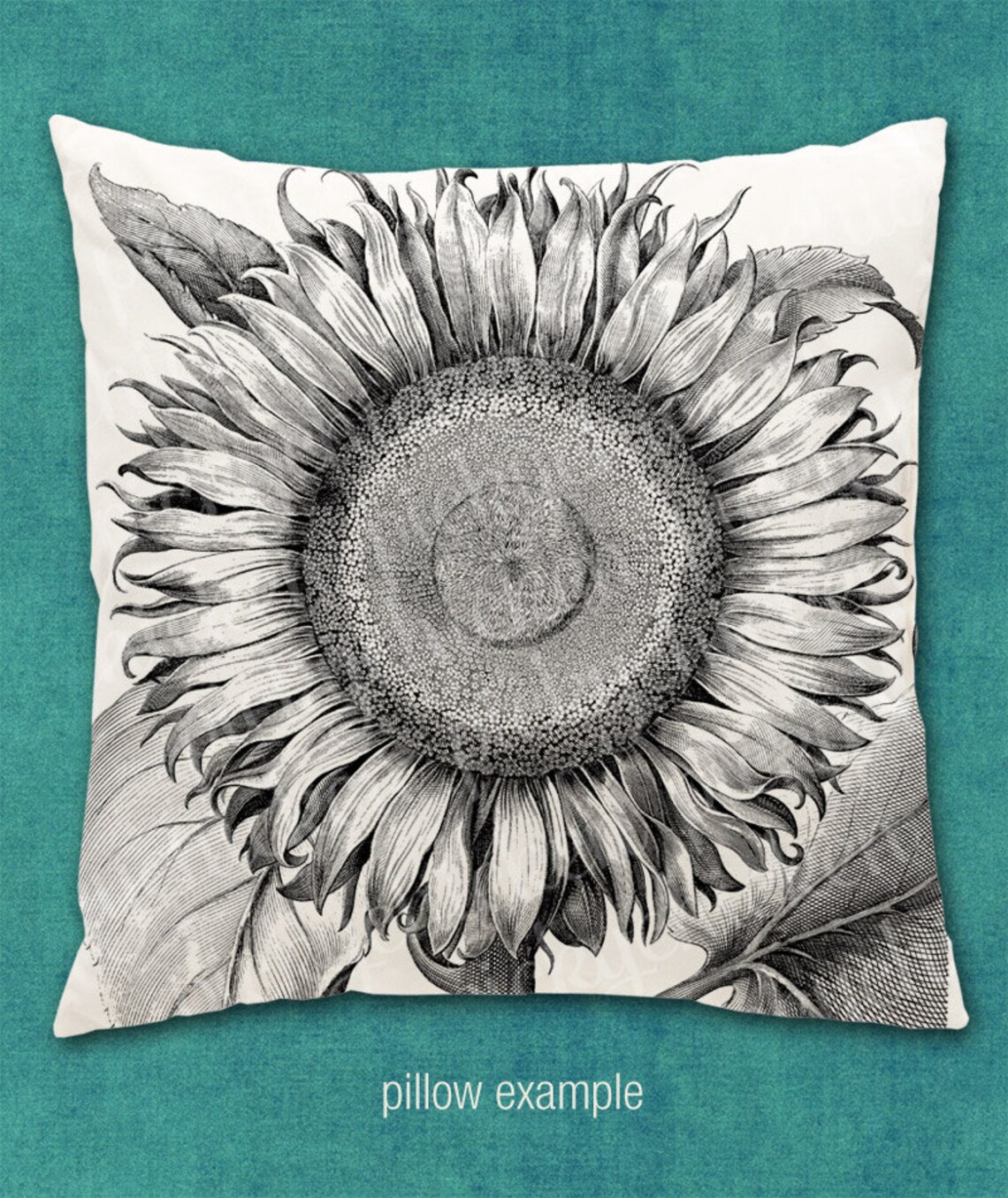 Sunflower Vintage Engraving Illustration 8x10 Digital - Etsy
