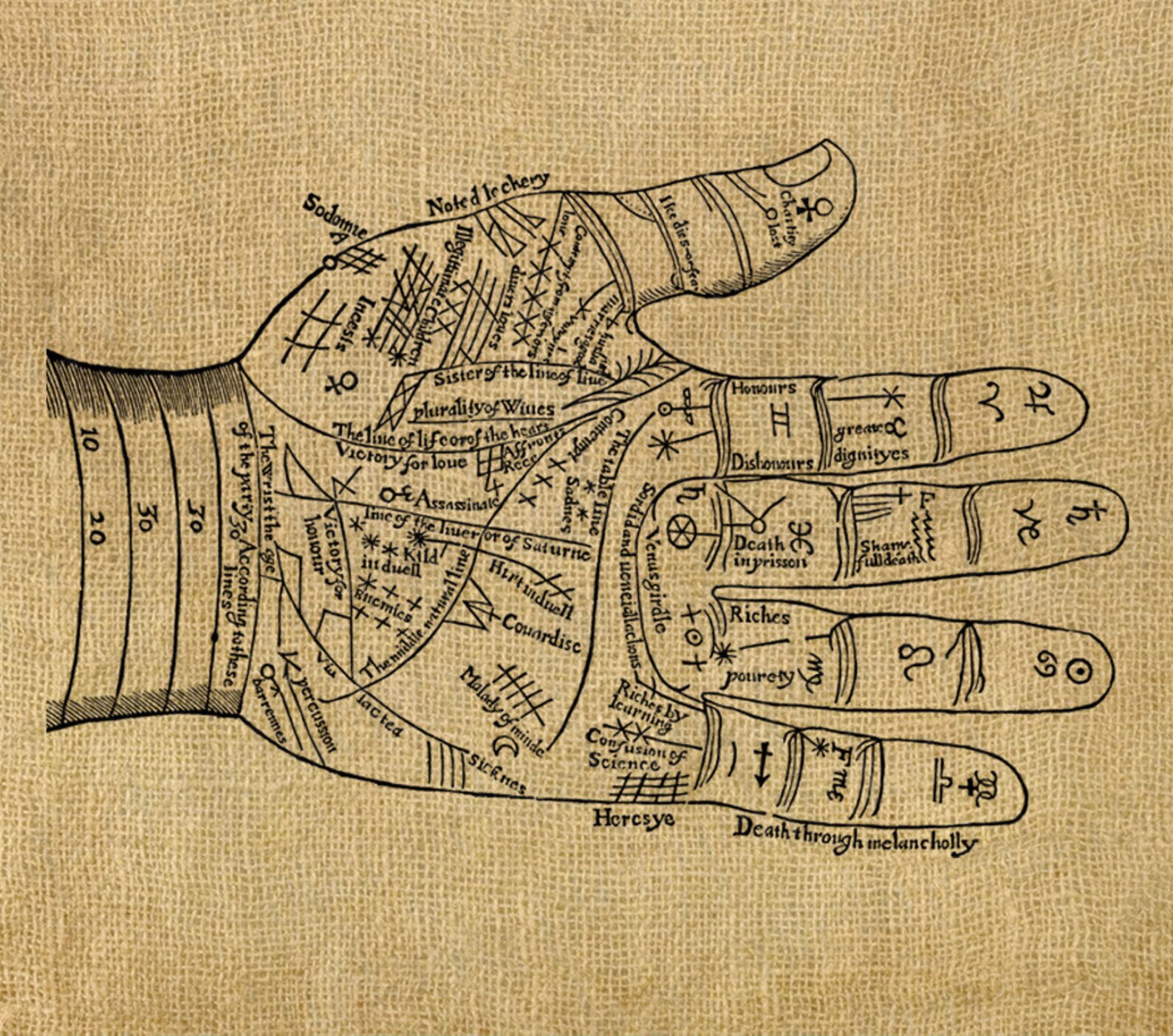 Palmistry Fortune Telling Hand - 8x10 Digital INSTANT DOWNLOAD Vintage ...