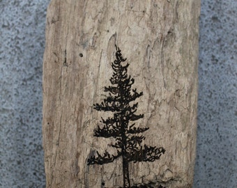 Redwood Tree Art | Etsy