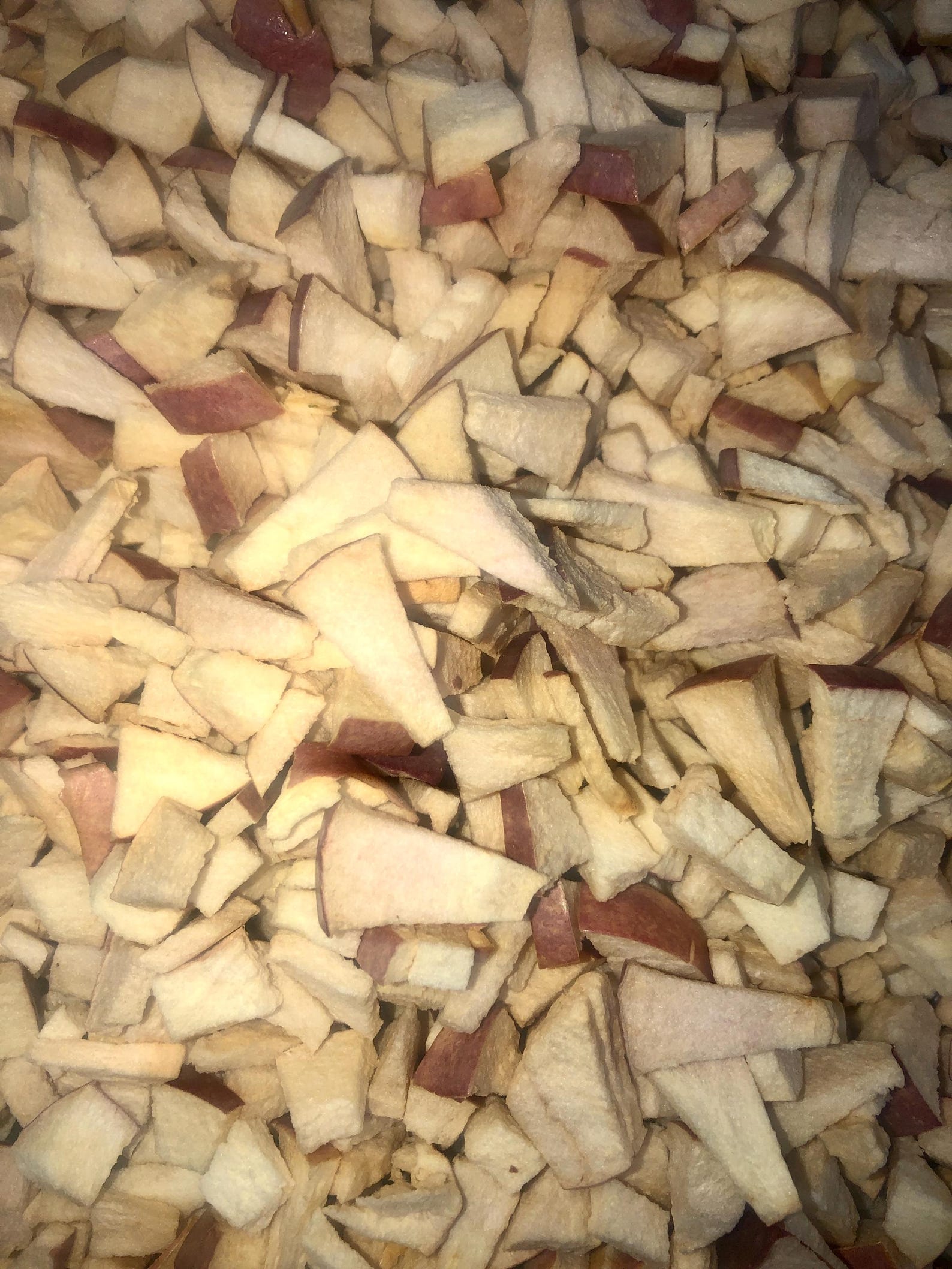 Freeze Dried Mouse Treats: Fruit & Veggie Mix, Natural Foraging Food - Etsy