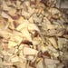 Freeze Dried Mouse Treats: Fruit & Veggie Mix, Natural Foraging Food - Etsy