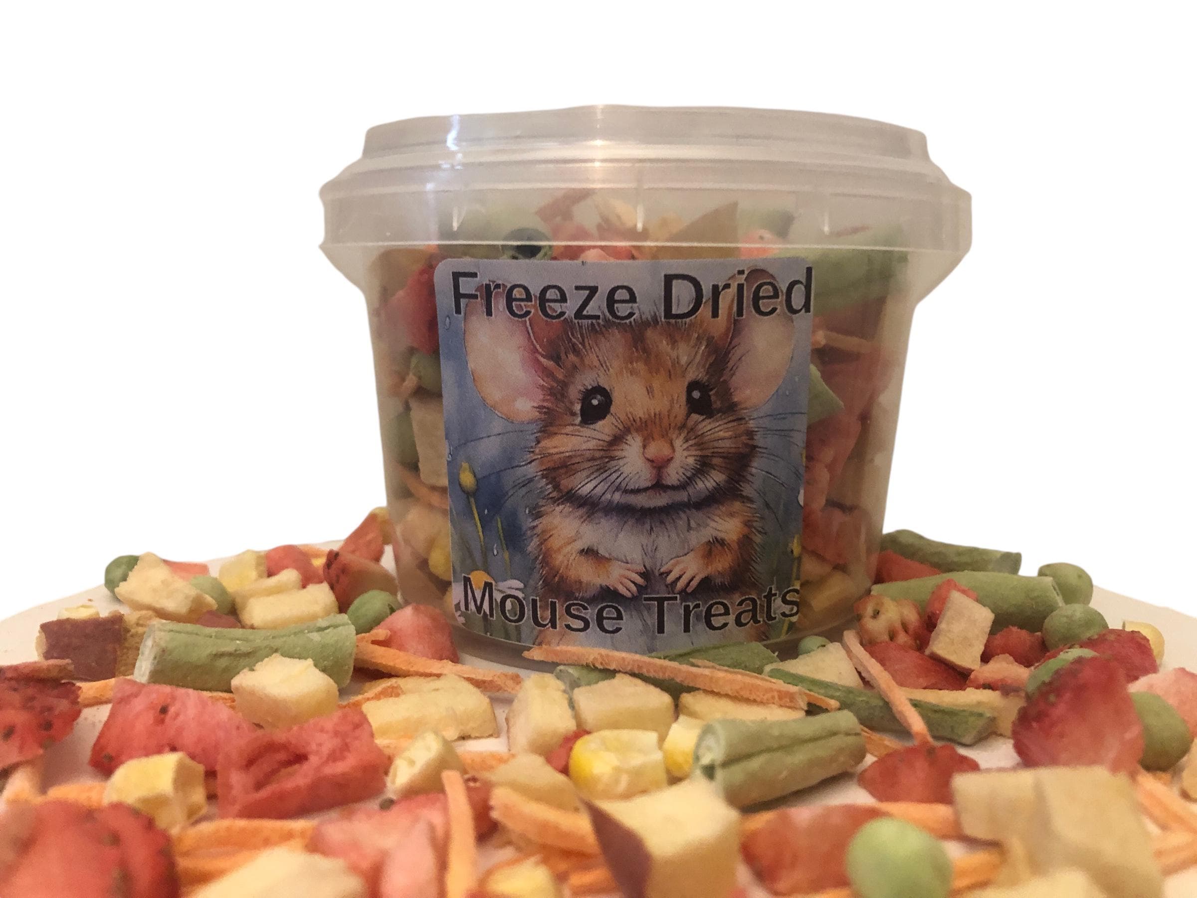 Freeze Dried Mouse Treats: Fruit & Veggie Mix, Natural Foraging Food - Etsy