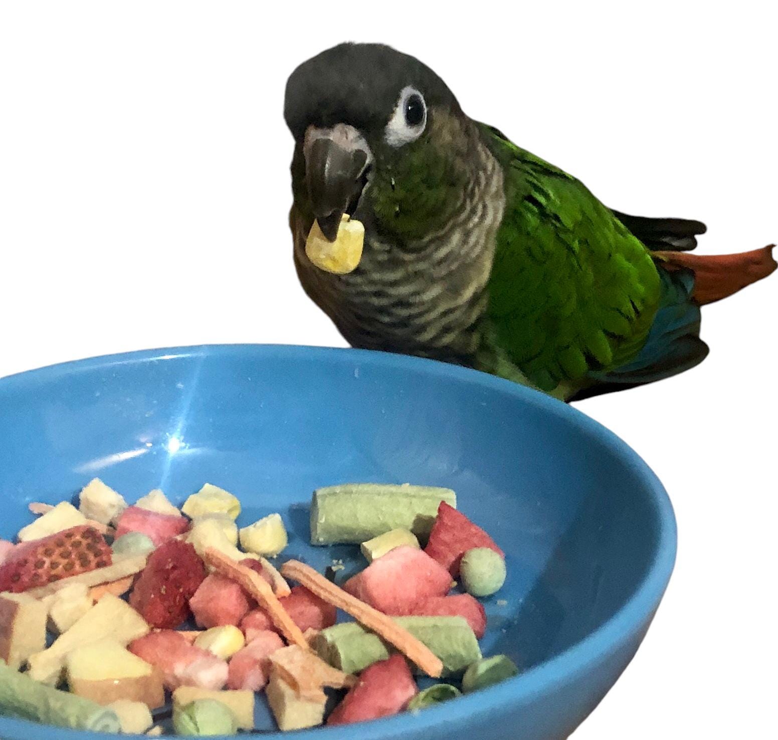 Freeze Dried Parrot Food: All Natural Fruit & Veggie Bird Chop (1.5oz ...