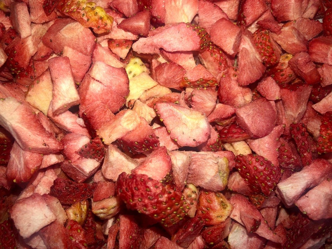 Freeze Dried Mouse Treats: Fruit & Veggie Mix, Natural Foraging Food - Etsy