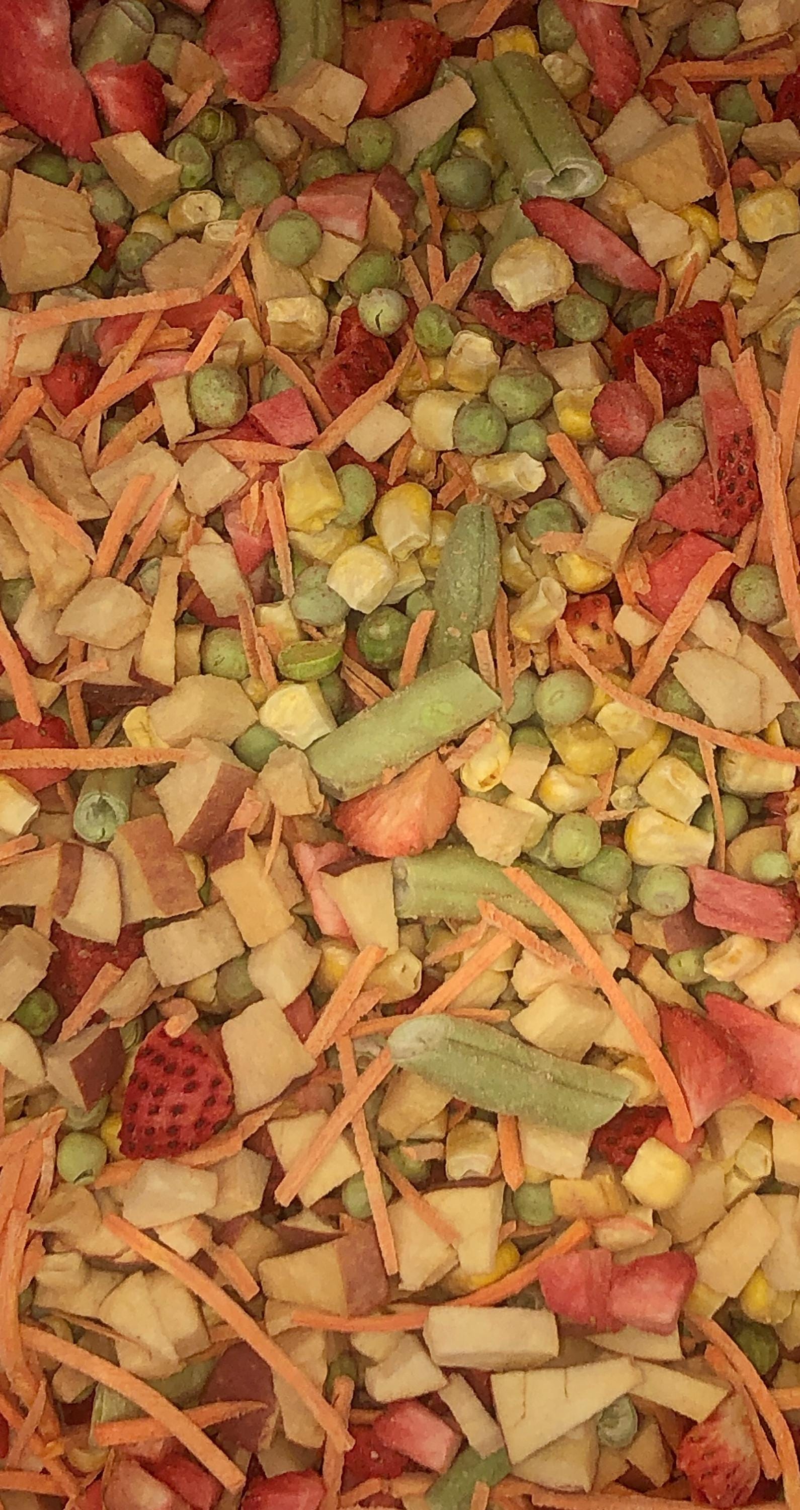 Freeze Dried Mouse Treats: Fruit & Veggie Mix, Natural Foraging Food - Etsy
