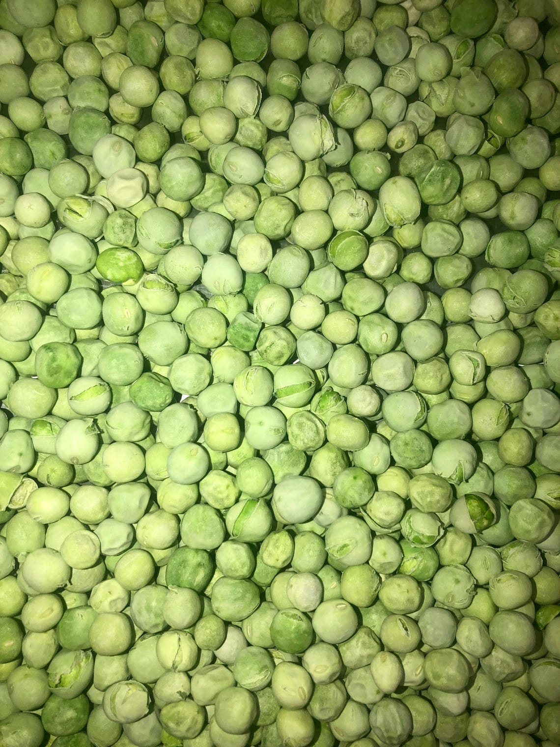 Freeze Dried Mouse Treats: Fruit & Veggie Mix, Natural Foraging Food - Etsy